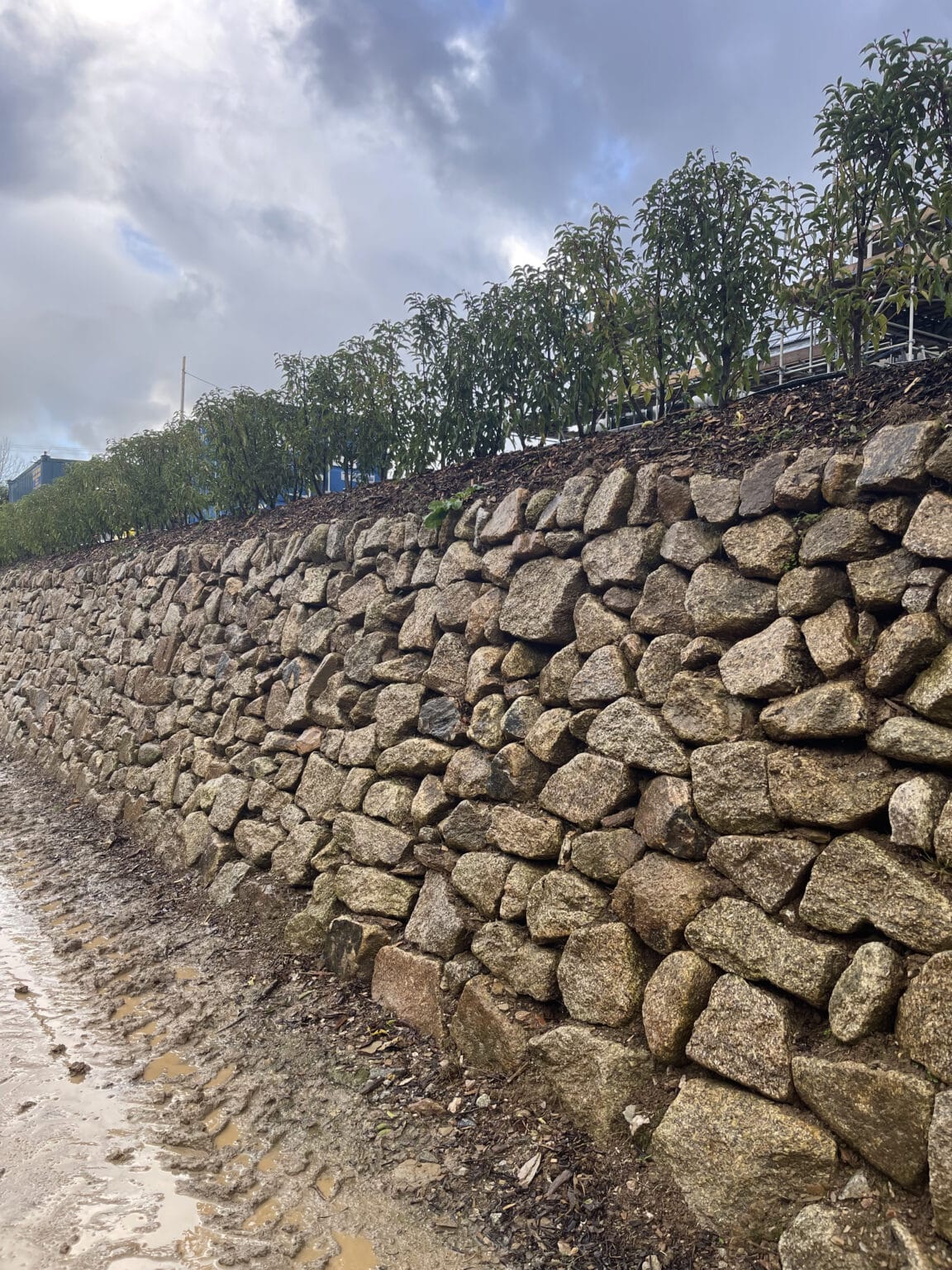 Walling Stone | Cornish Granite & Slate for Landscaping & Building